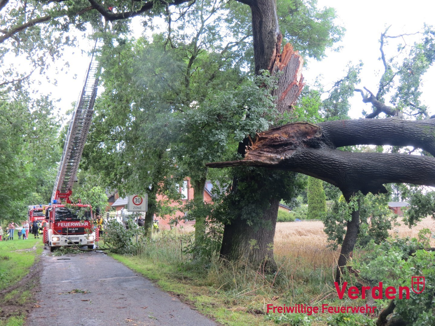 Baum Fallen Privatgrundstuck Niedersachsen